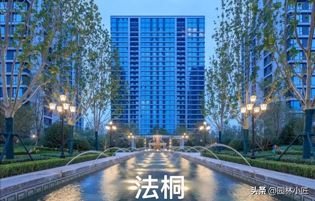 In garden landscape, case sharing of tree array planting effect - iNEWS