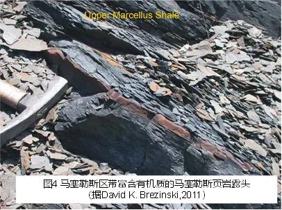 Shale Story: Shale is the most widely distributed sedimentary rock in ...