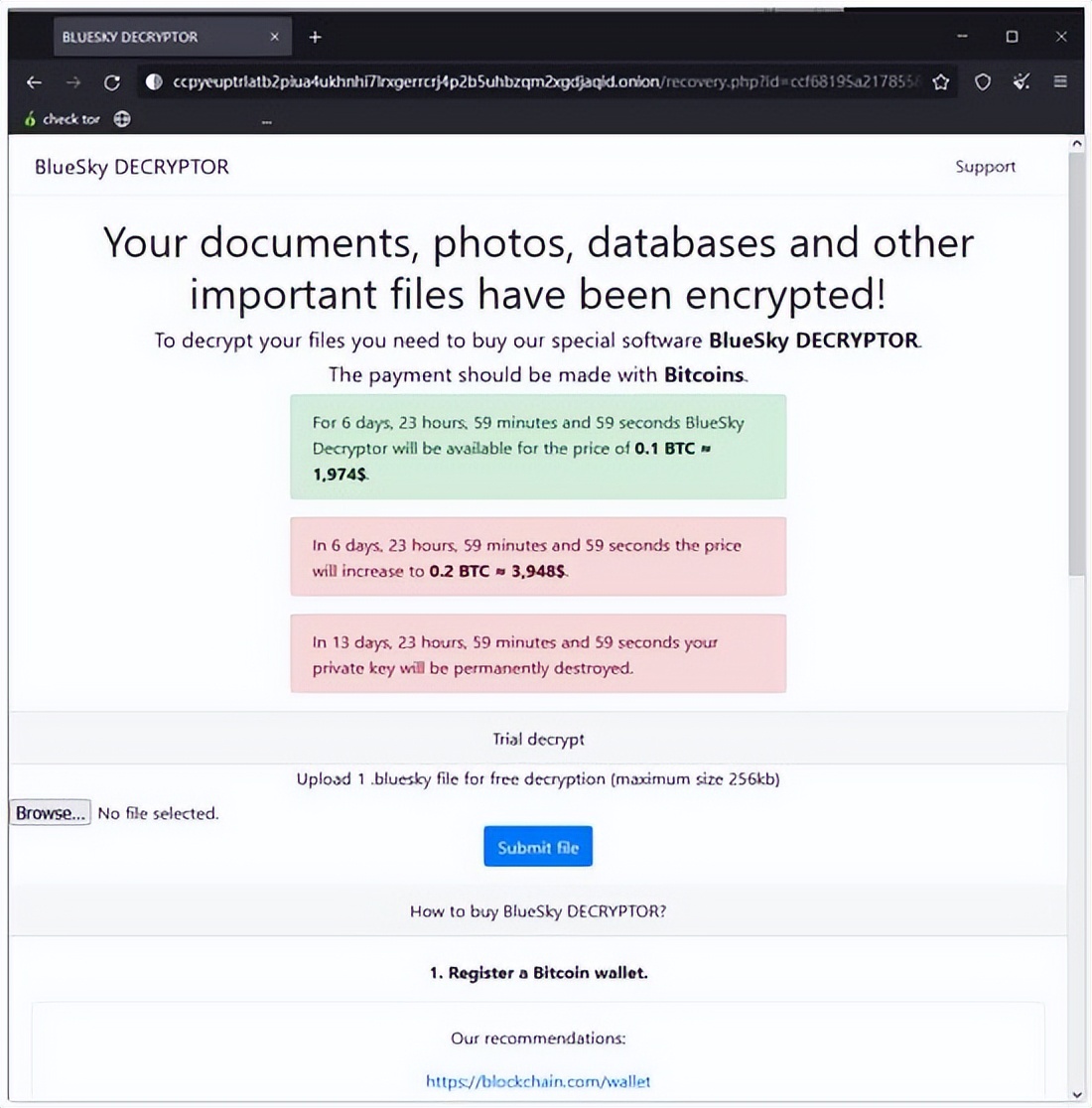 Bluesky Ransomware Outbreak Attacks SQL Server Database Penetration - iNEWS