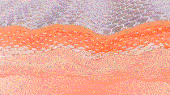 Is immortality possible?Reprogramming old skin cells to restore ...