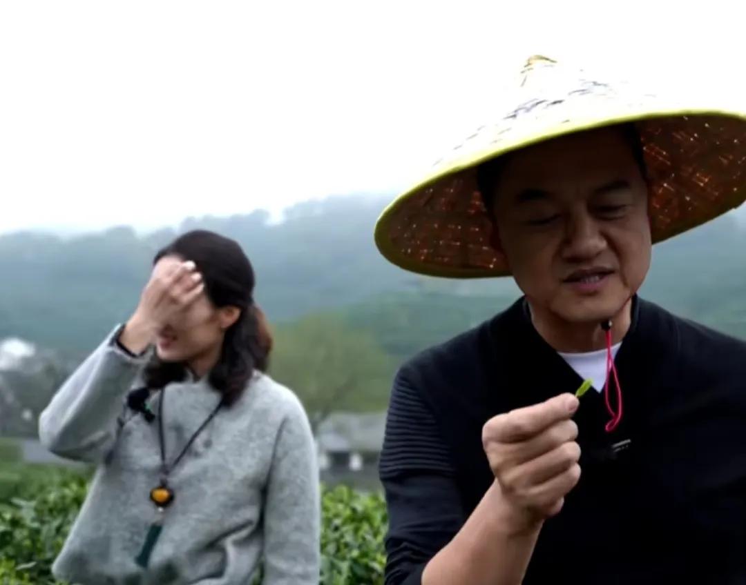 Actor Li Yapeng went to Wuyi Mountain to pick half a tael of tea and ...