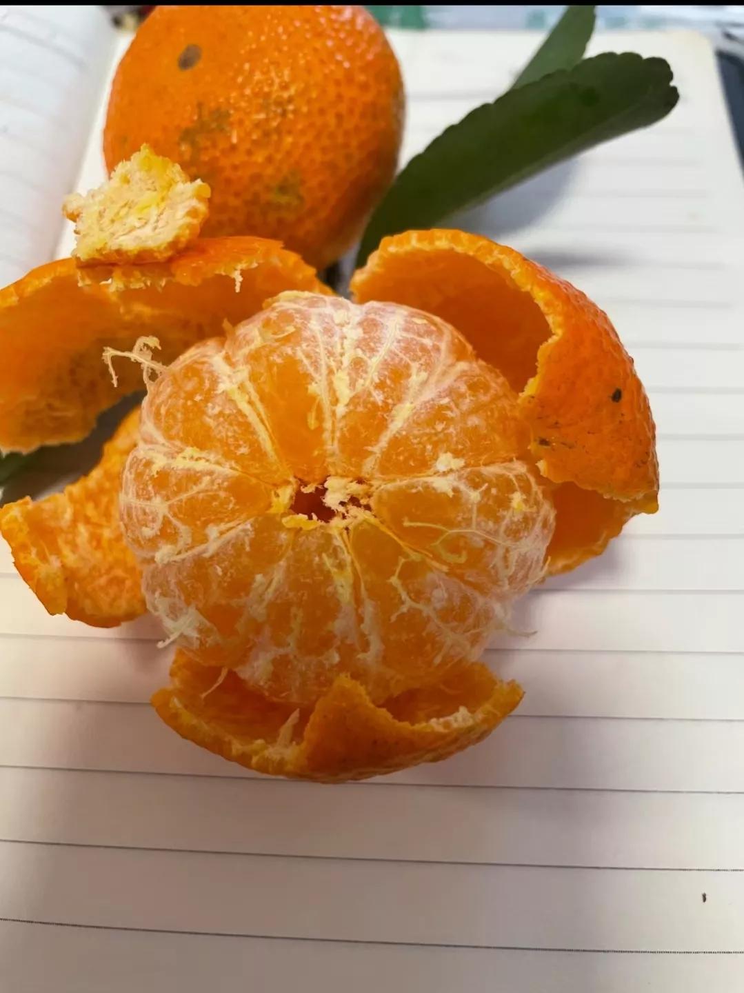 Where is the best Shatang orange?How to choose sand sugar orange?Don't ...