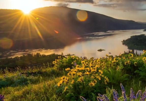 Scenic ticket management software plays a central role in the growth of ...