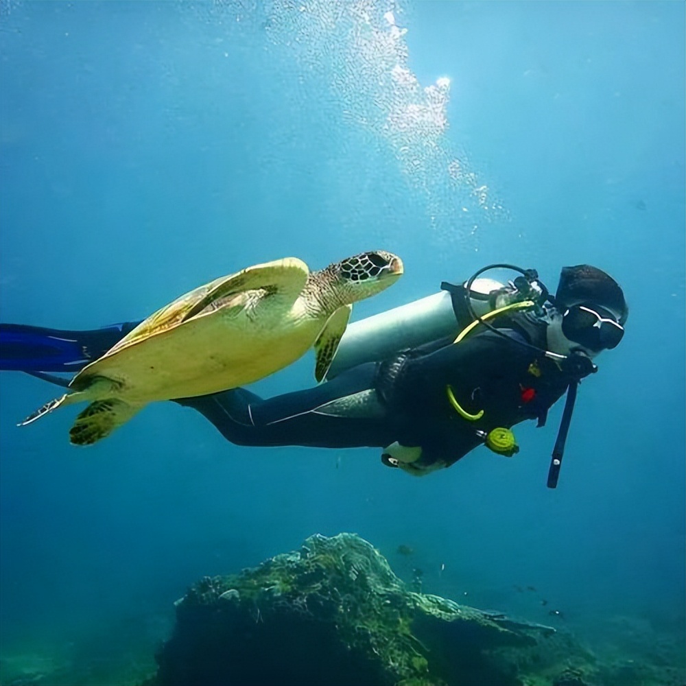 This sea view is more beautiful than man-made, it is an excellent ...