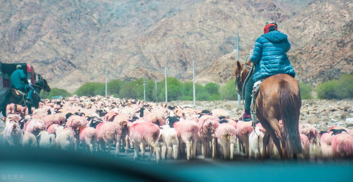 Ethnic Minority Tradition: Westward Migration Festival of the Xibo ...
