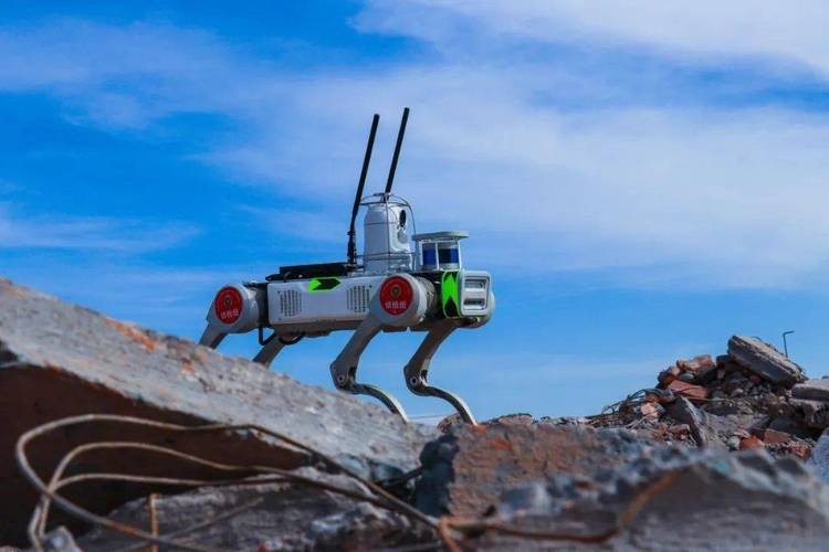 How many surprises have rescue robots brought to save people in ...