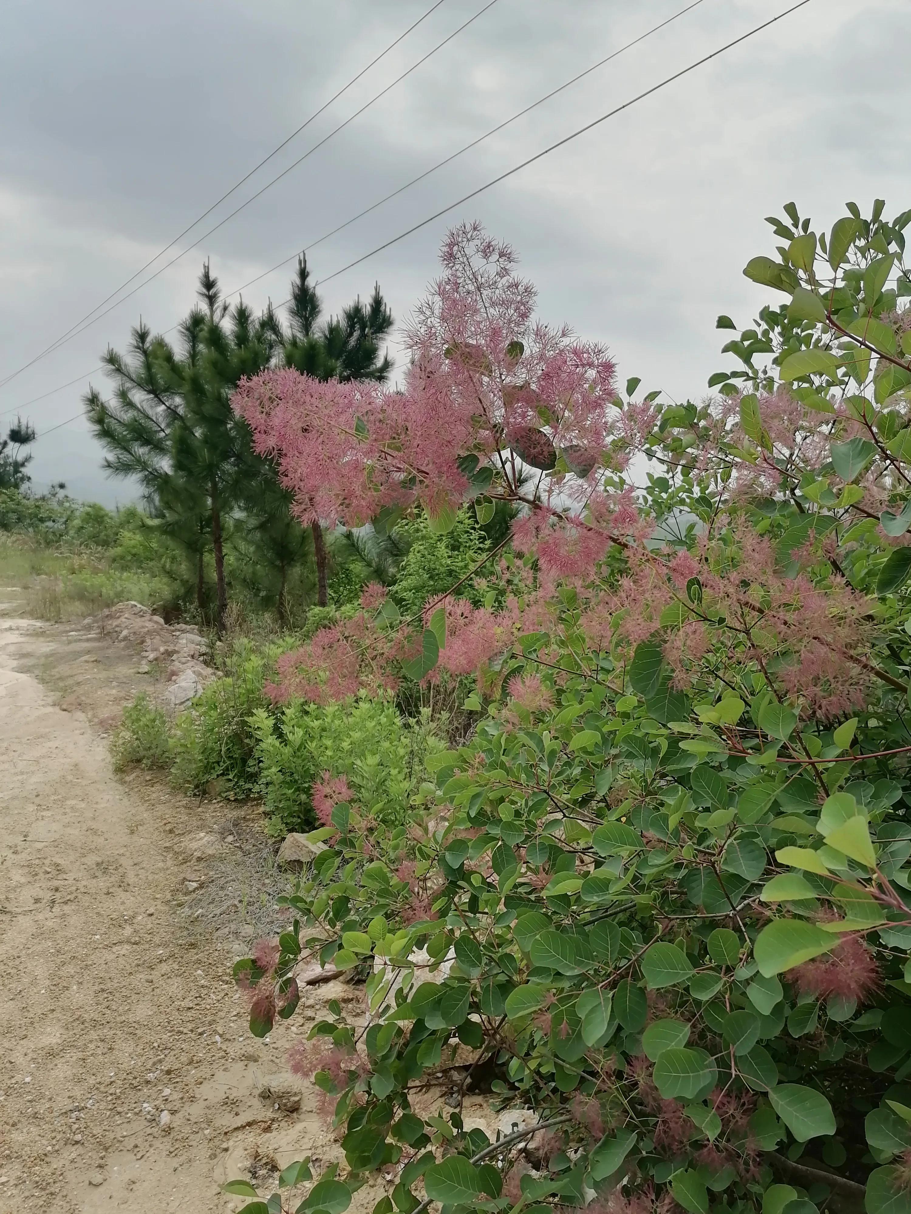 Notes alone under the midnight light - iMedia