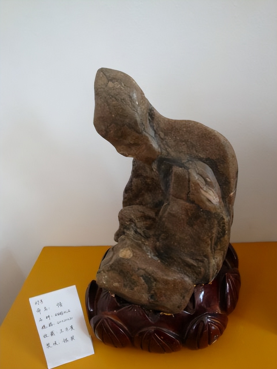 Talking to Stones——Brother Tishan, Strange Stones - iNEWS