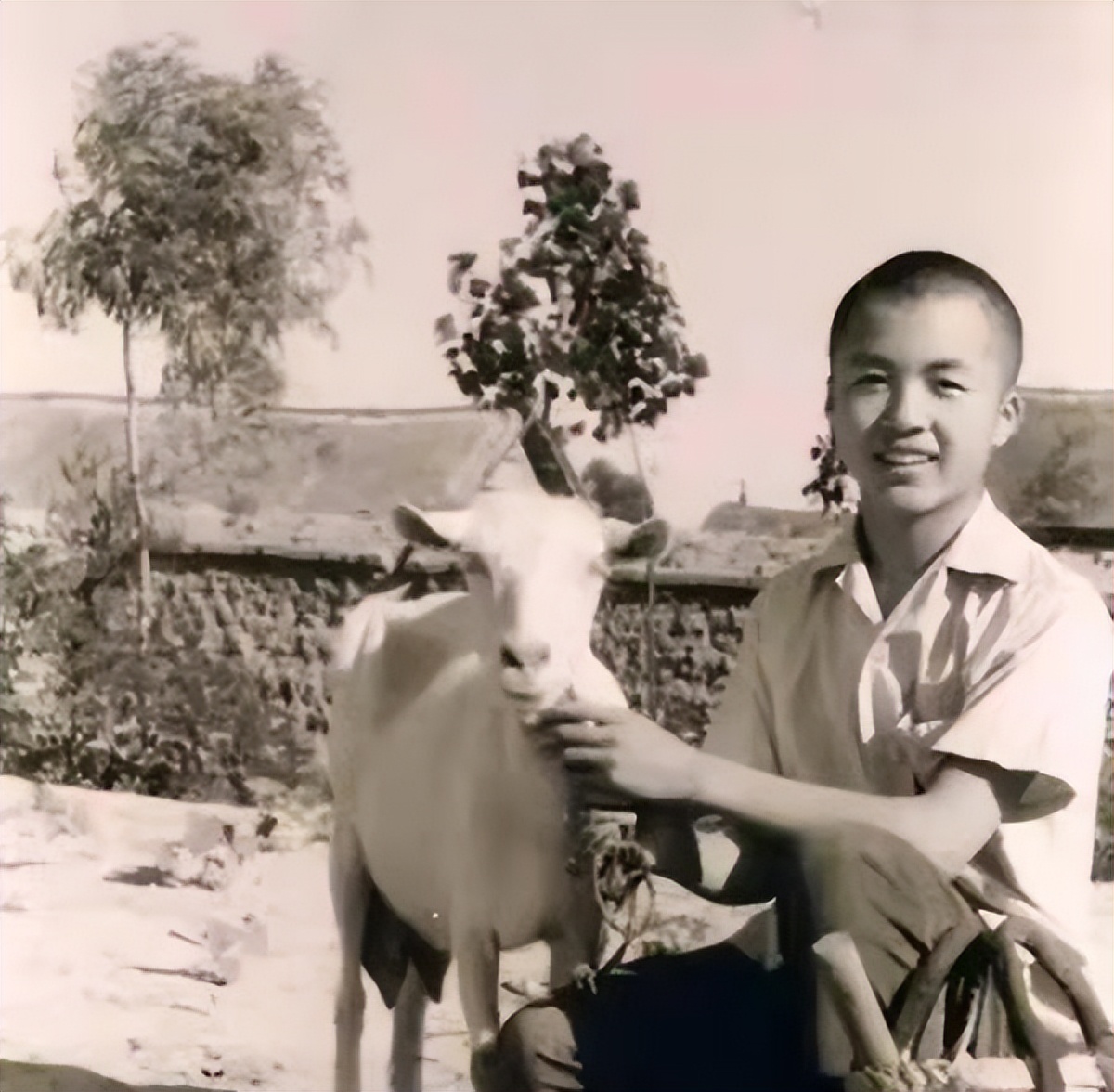 Gu Cheng's only son: He returned to China at the age of 10, and was ...