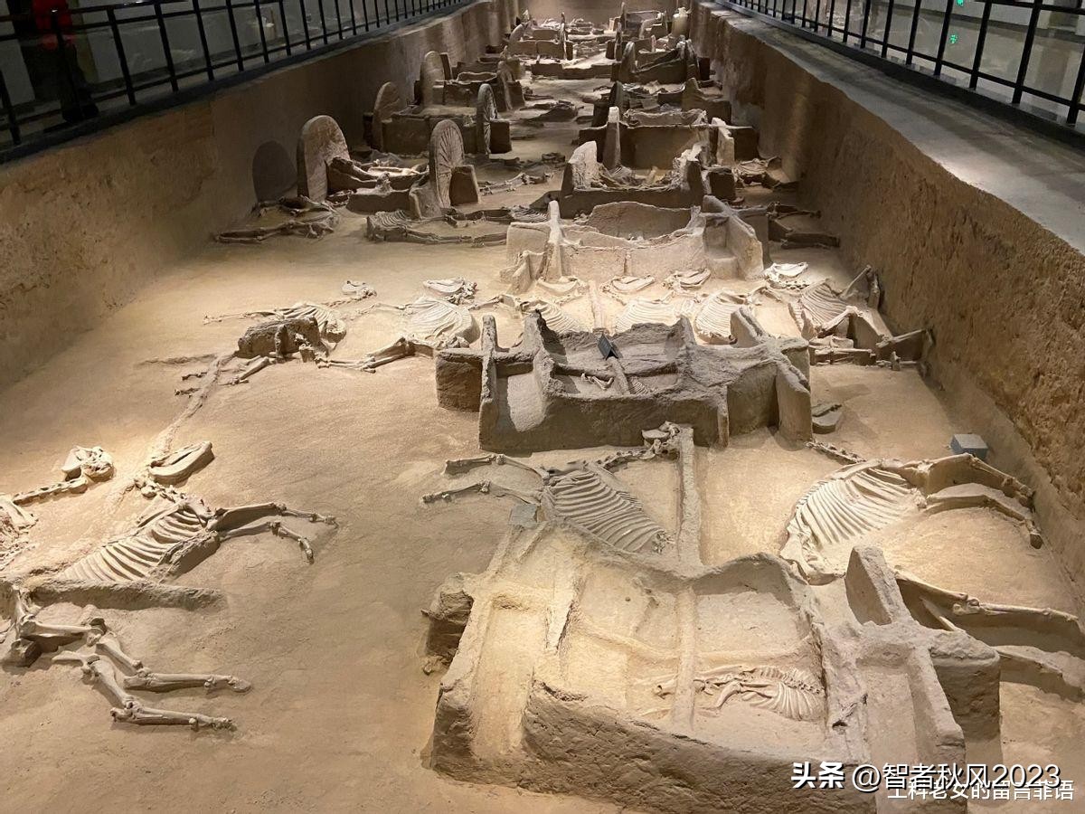 Emperor Jia Liu of Luoyang: Dogs are the emperor's most valuable dogs ...