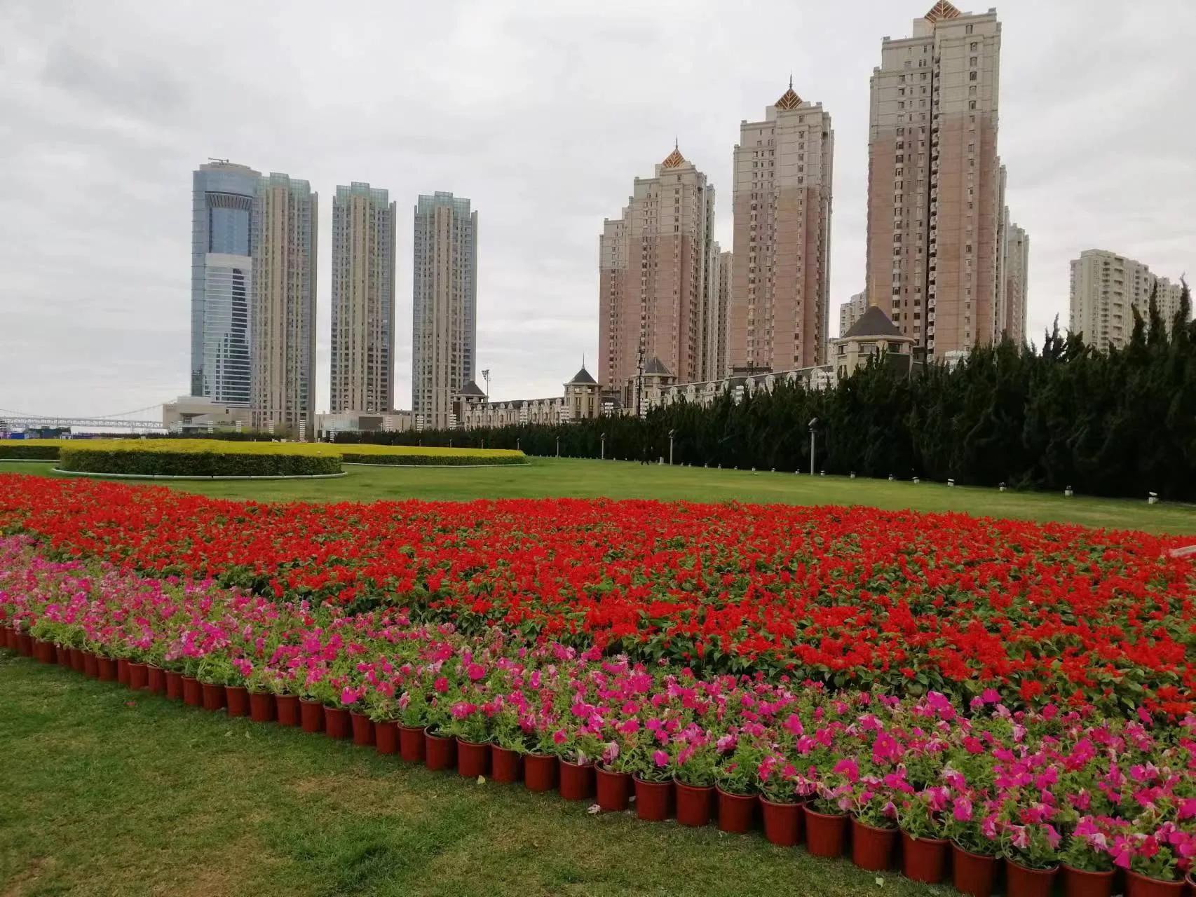 In the spring of Dalian, there is a beauty that you will never be able ...