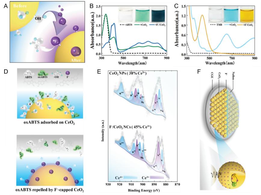 The progress of the work of Professor Liu Juewen's research group in ...