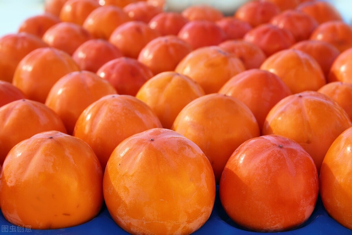 Don't only pick soft persimmons, the old fruit farmer will teach you 5 ...
