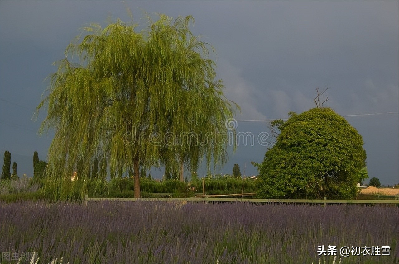 Six Songs of Autumn Willows in Qingli Early Autumn - iNEWS