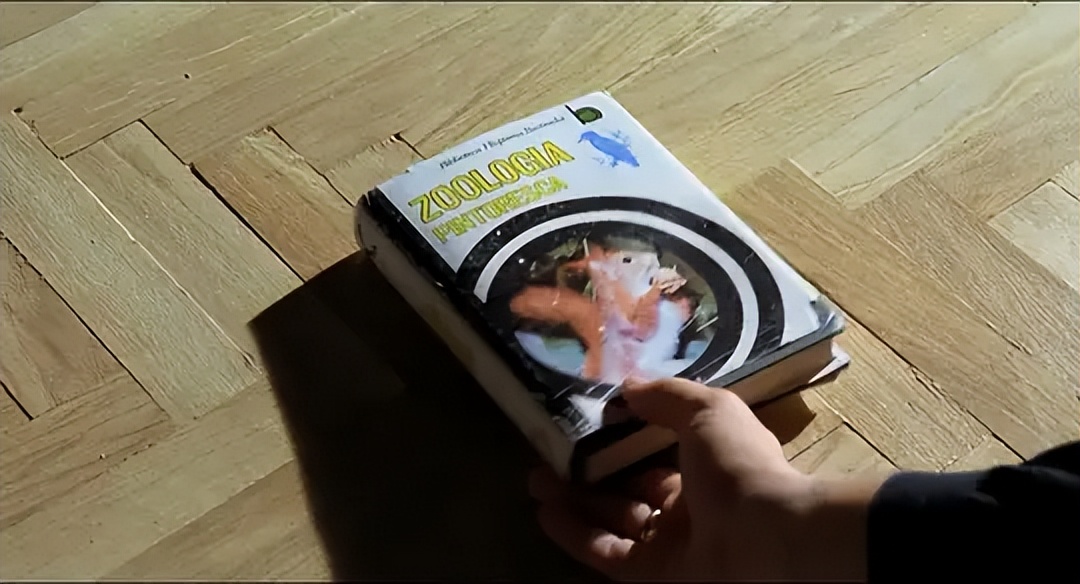 Analyzing from multiple aspects and using a non-linear narrative ...