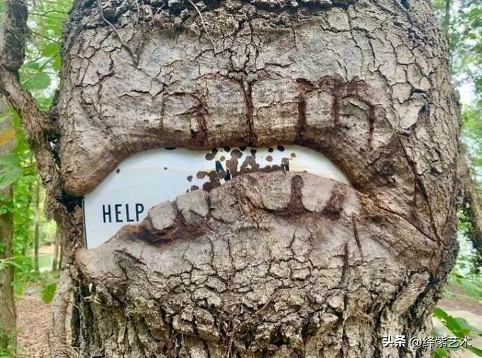 20 Rare Photos of Eating Trees That Make People Awe-inspired by the ...