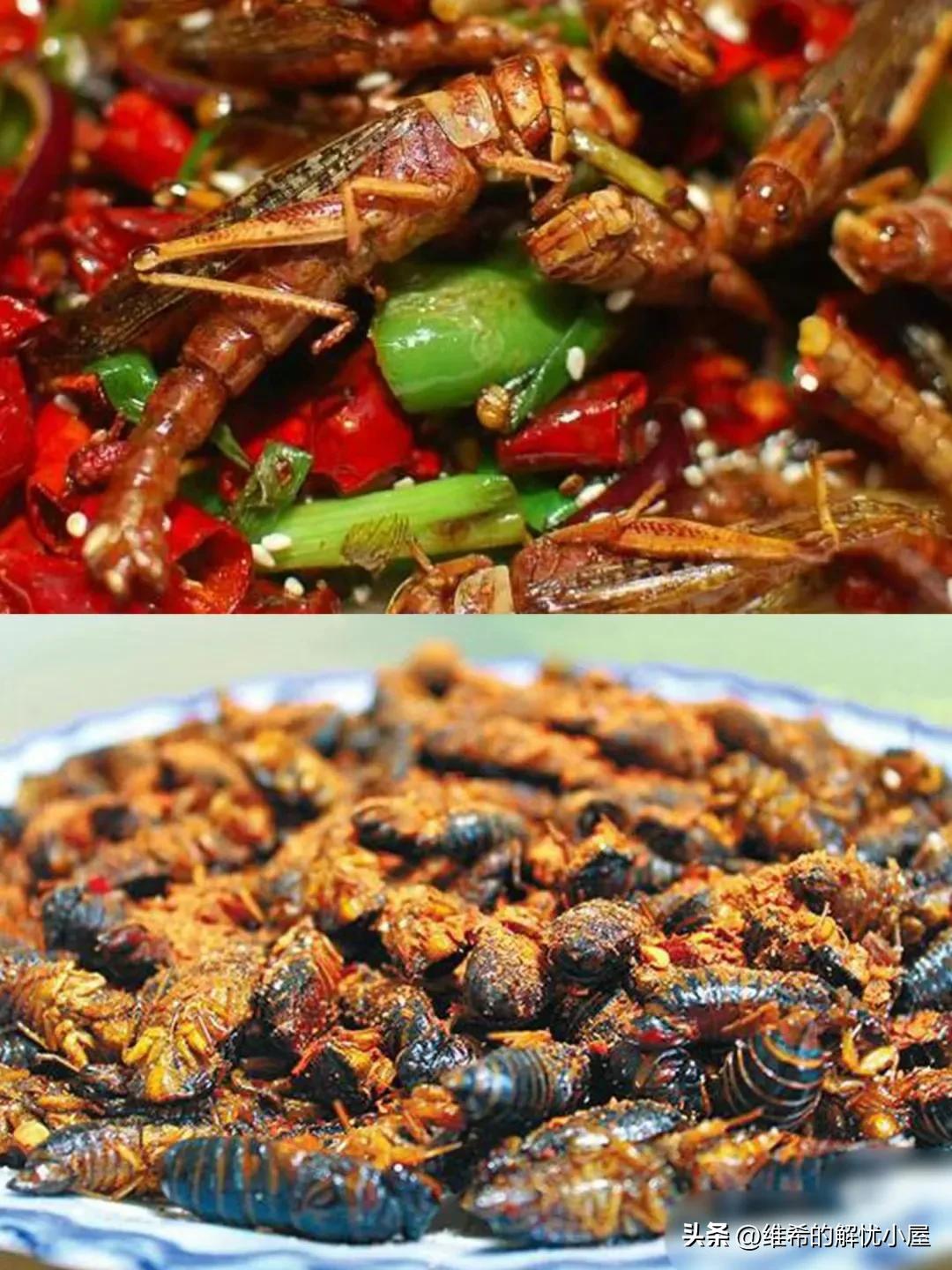 It turns out that Yunnan talents who dare to eat anything are the ones ...