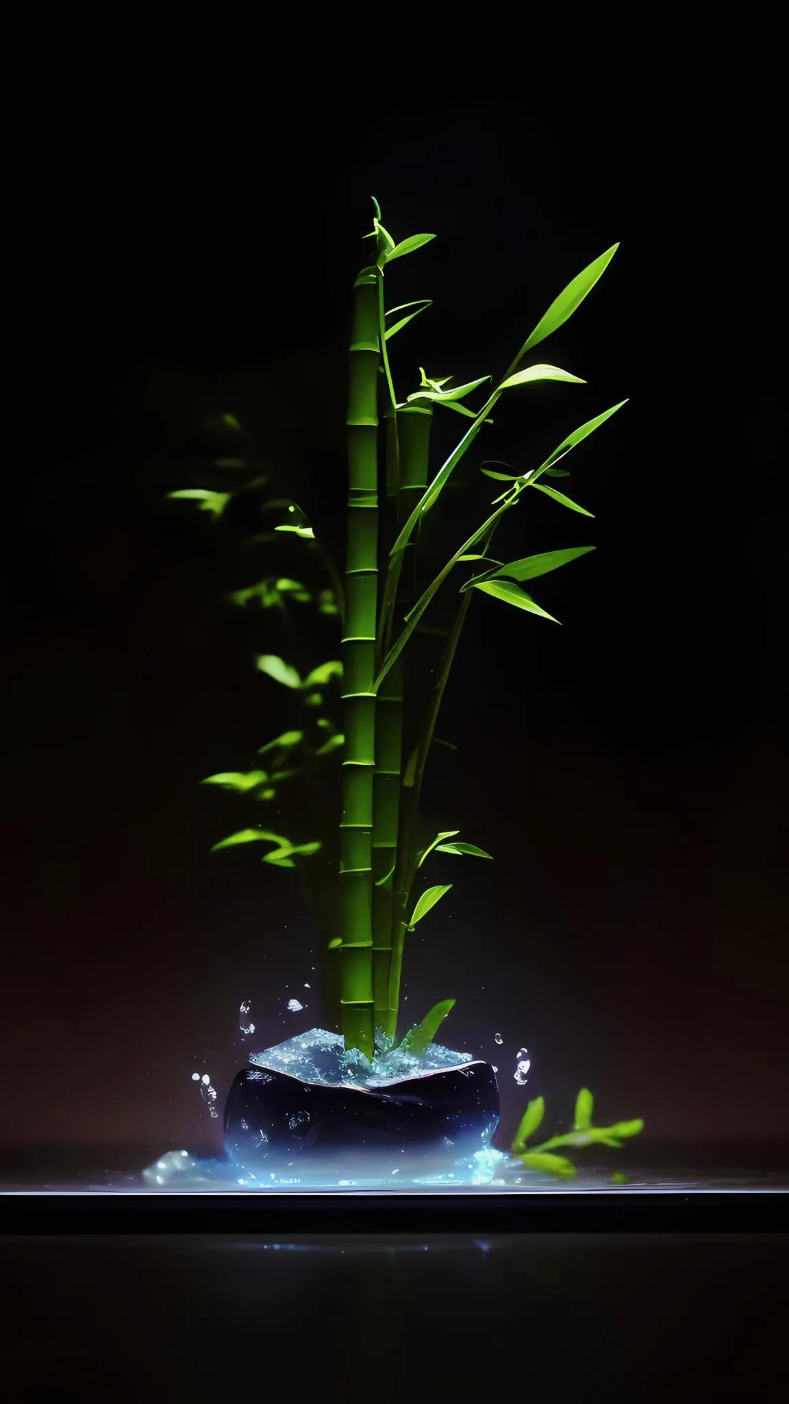 Black, Bright, Refreshing, Soothing and Meditation Wallpapers - iNEWS