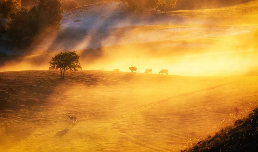 Bashang Grassland, the closest place to heaven - iNEWS