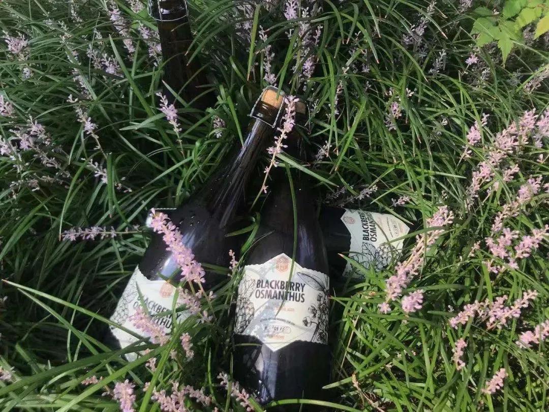 Fruity Sour Beer - iNEWS