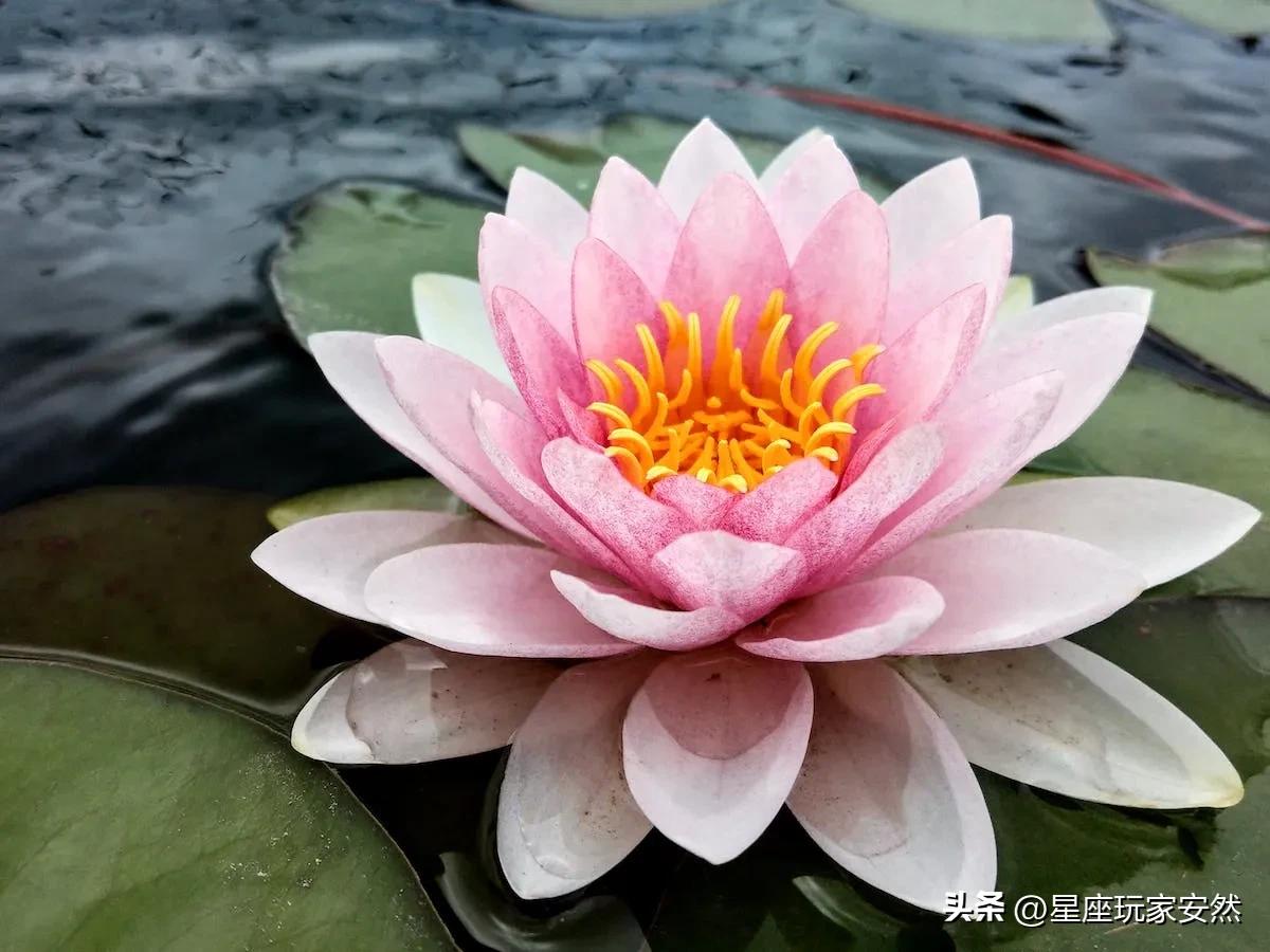 Constellations that resolutely refuse to "get involved", pay attention to specificity in ...