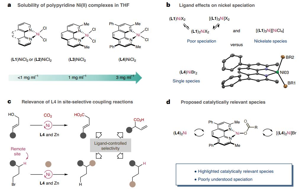 Nat. Catal.: Reductive Coupling Reactions, Electron Transfer in ...