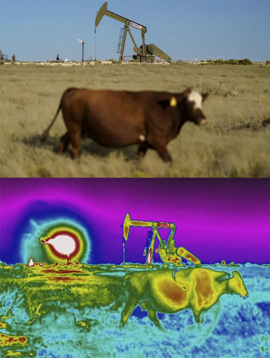 Watch the Associated Press demystify the dilemma of U.S. methane ...