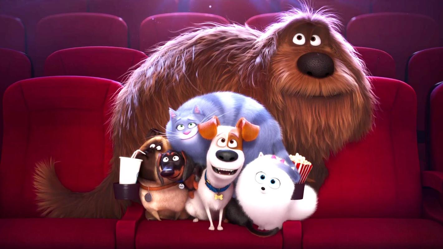 Deciphering the World of Pets: The Movie Appreciation of The Secret ...