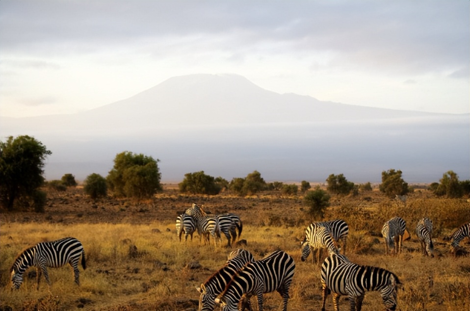Kenya's geographical features, historical culture and characteristic ...