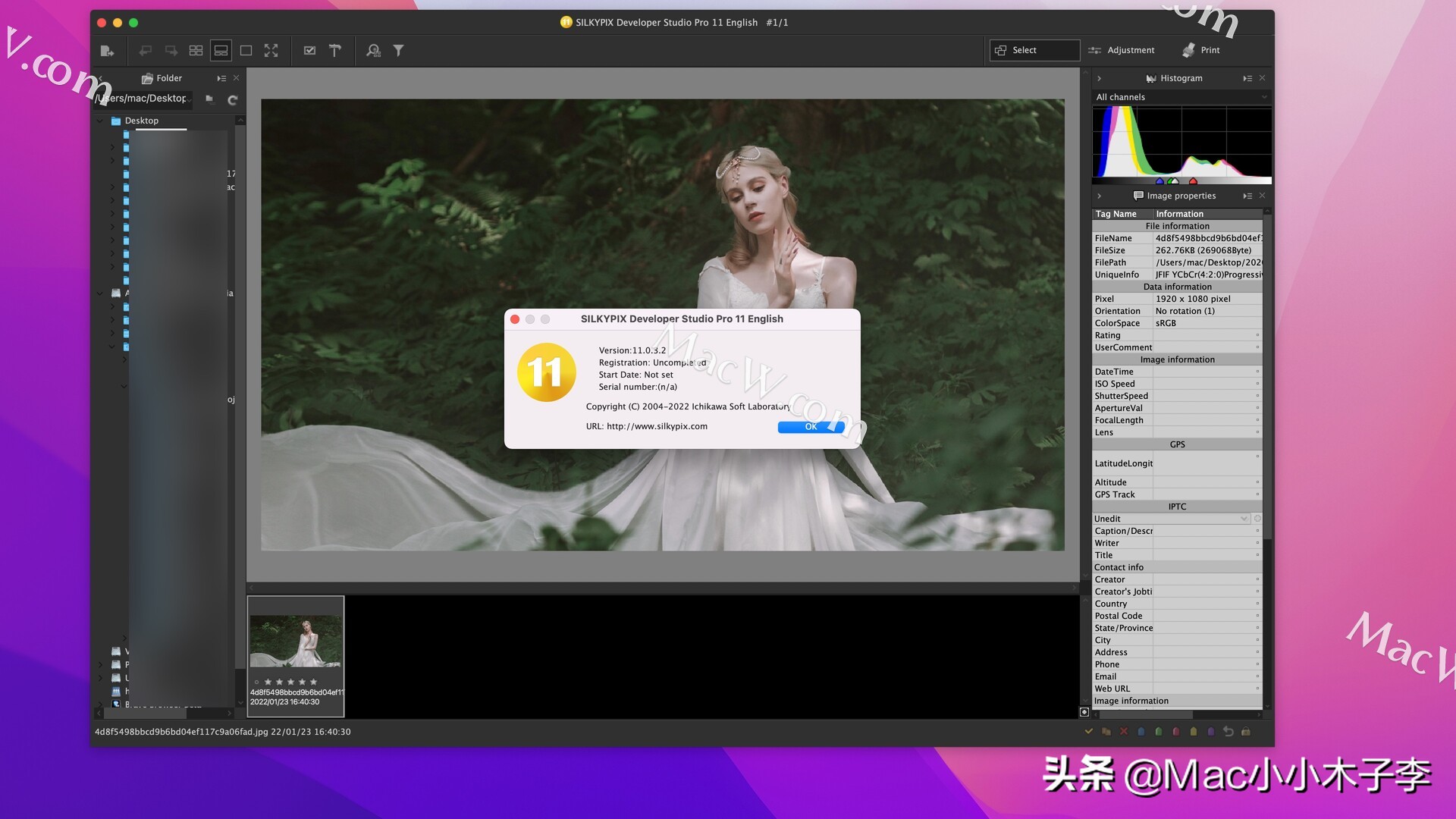 SILKYPIX Developer Studio Pro教你更便利處理照片 - 資訊咖