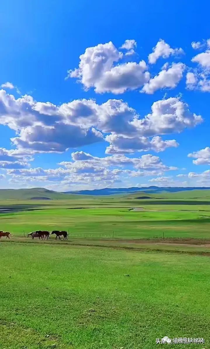 In 2022, the twentieth issue of the Green Ting Literary Society will be ...