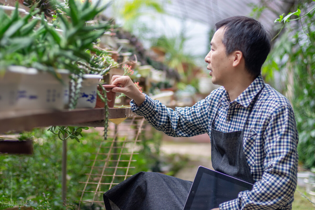 Wang Yangming: What is "goodness"? What is "evil", can you really ...