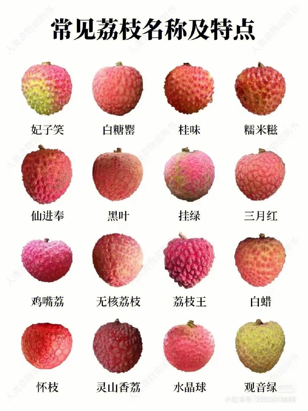 Lychee King is really big, but I advise you not to buy it - iMedia