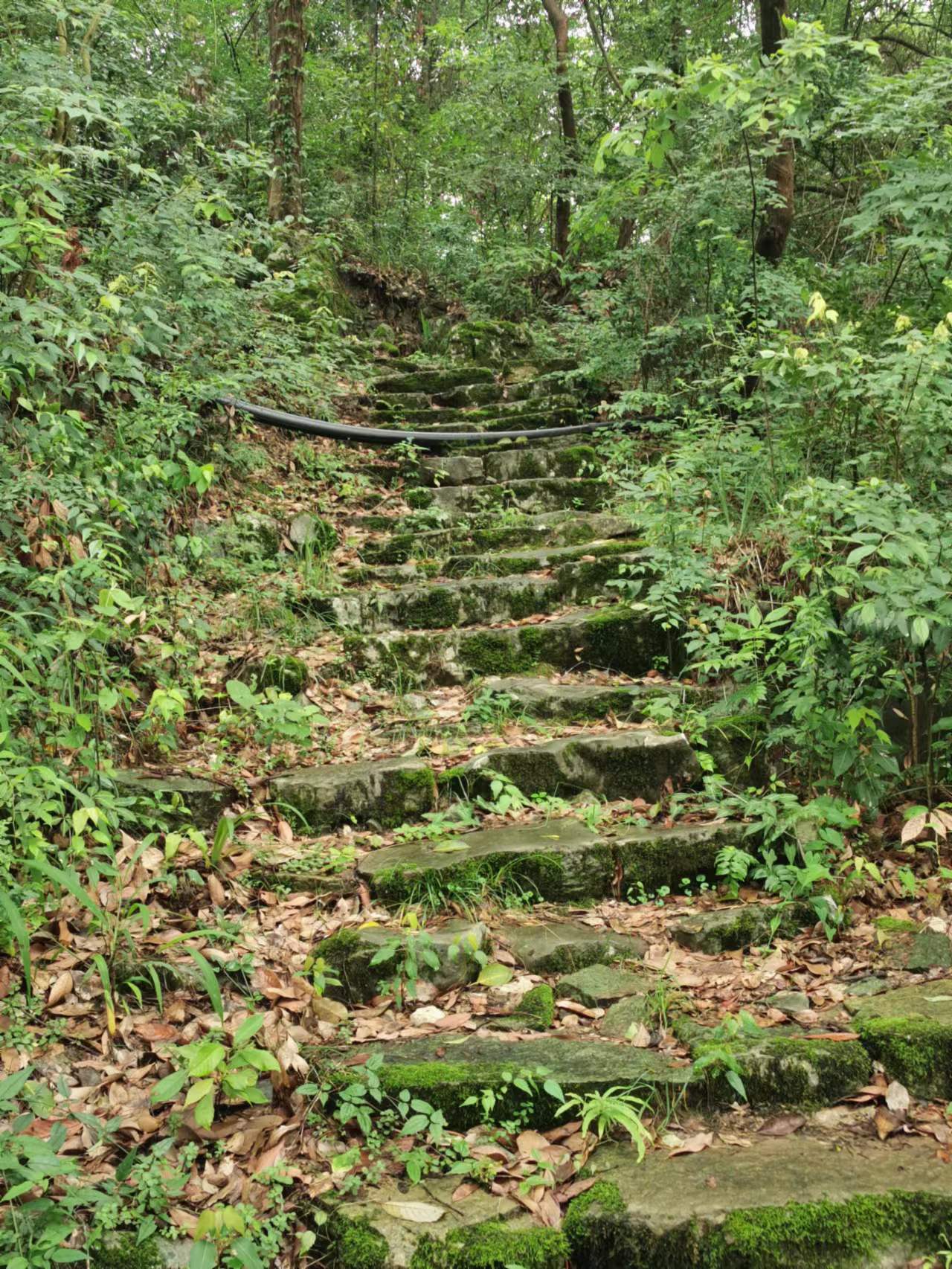 Zunyi Bozhou: Shangmuen Temple in Shiban Town - iMedia