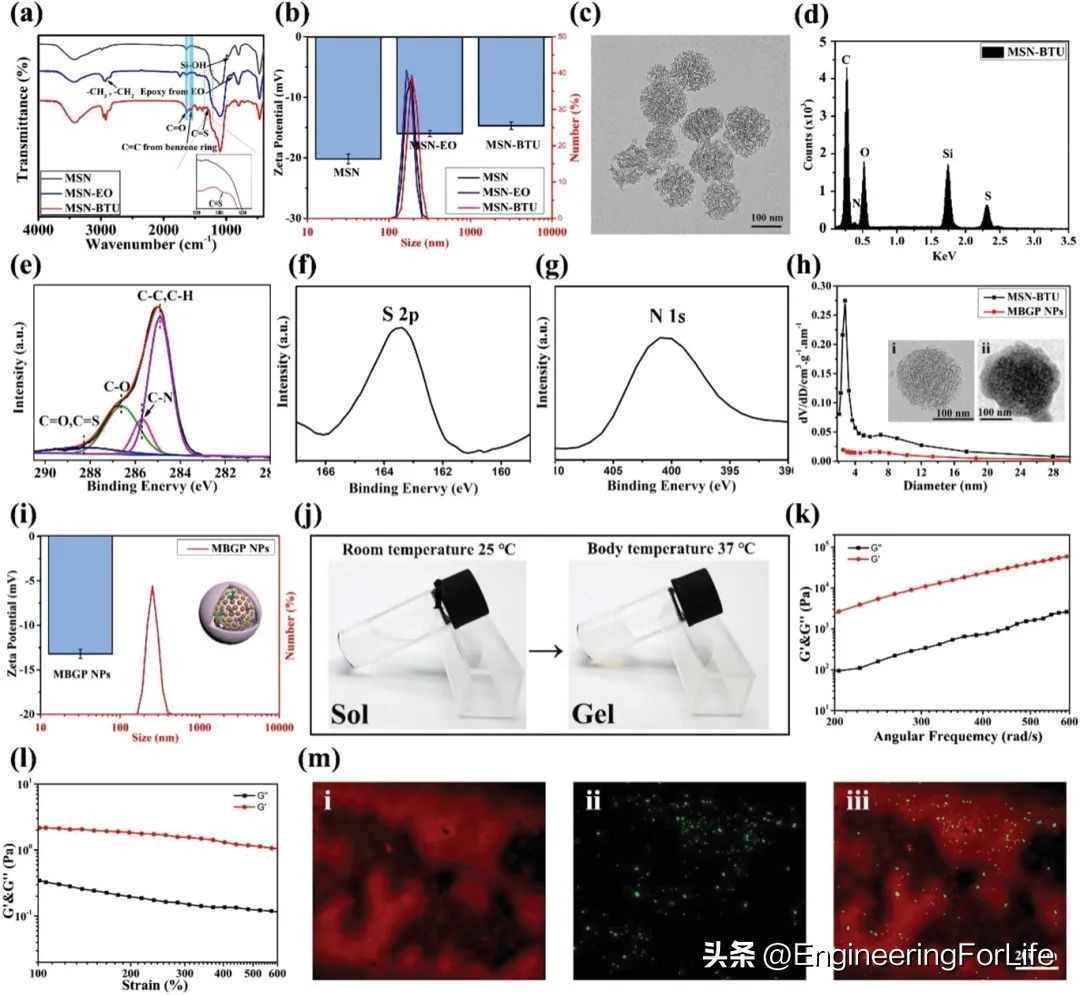 "AFM": Smart nanocomposite hydrogel for malignant melanoma! - iNEWS