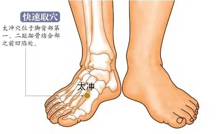 Keeping the Five Viscera in Health—Women nourish the liver by soothing ...