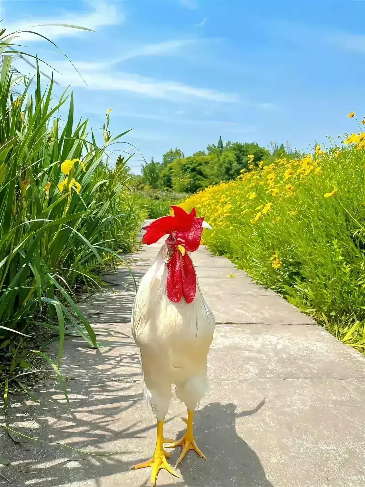 A lifelong good luck metaphysical avatar - iNEWS