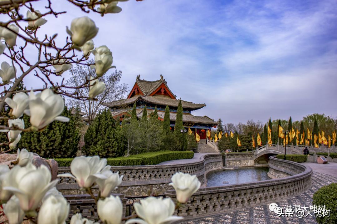 A Journey to Appreciate Flowers and Seek Their Roots in Spring——A ...