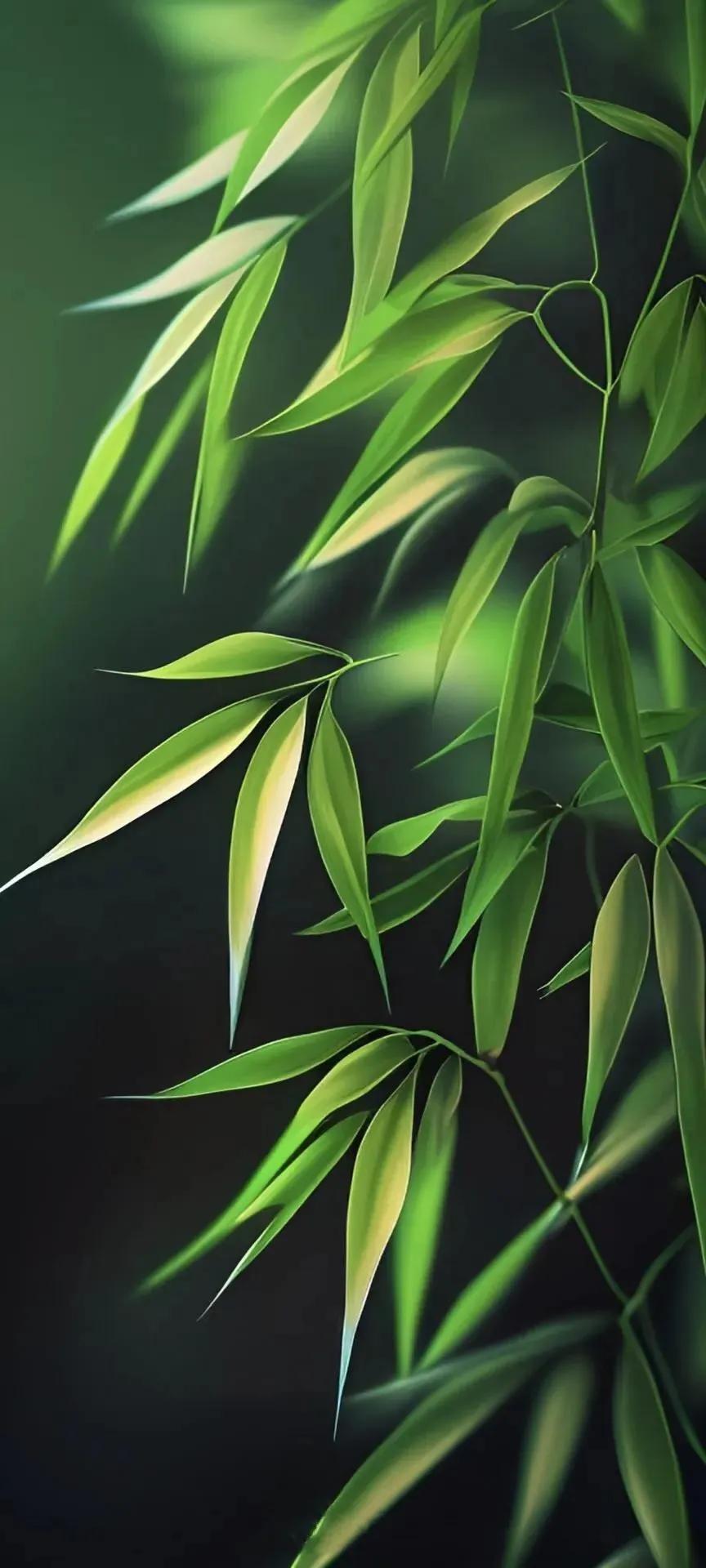 Very comfortable green eye protection wallpaper - iNEWS