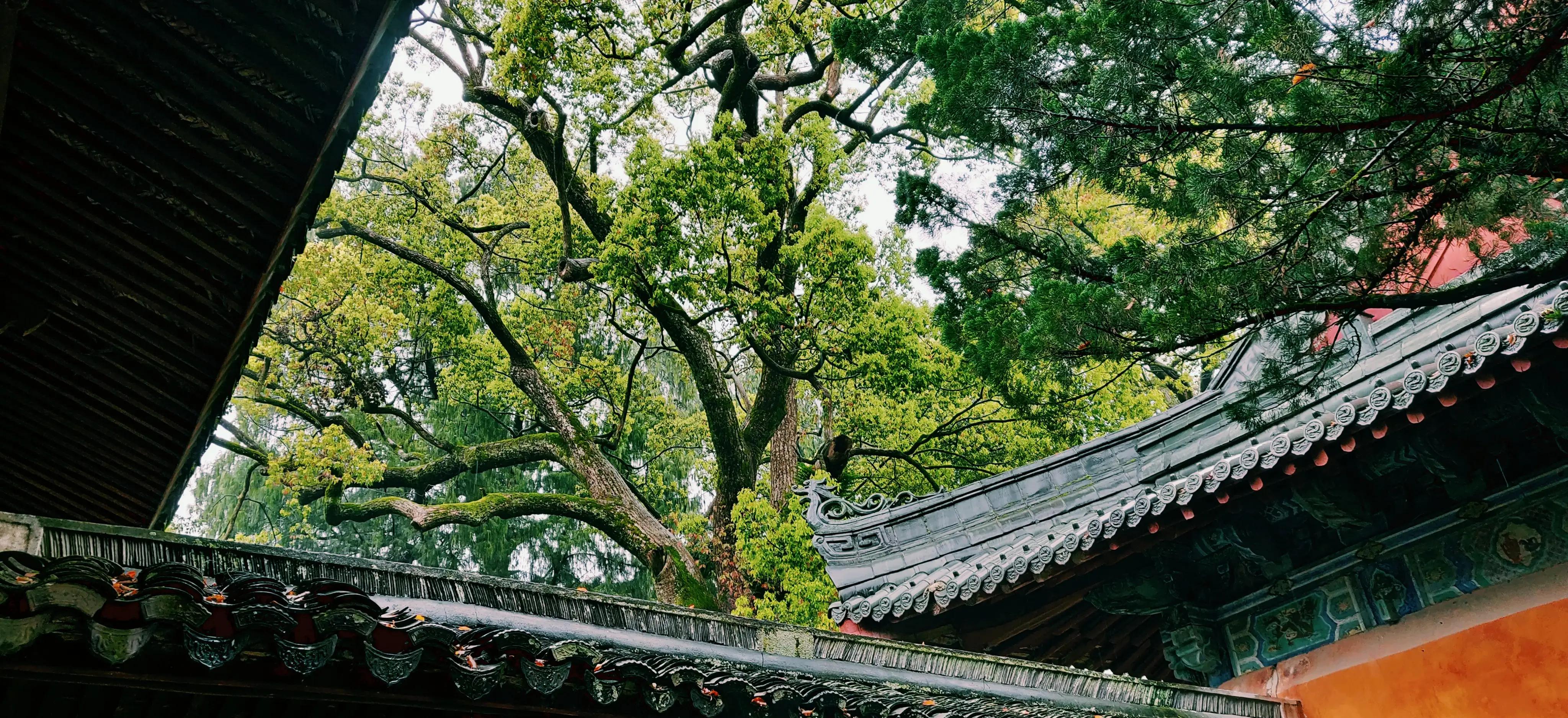 The Twelve Hours of the Temple · The Zen Gate Gradually Gradually - iNEWS