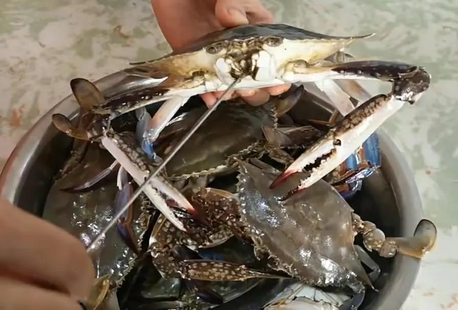 "When the autumn wind comes, the crab legs are fat", eat more crabs ...