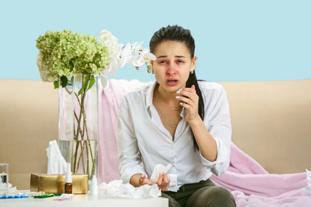 In autumn and winter, rhinitis recurs repeatedly, try Chinese medicine ...