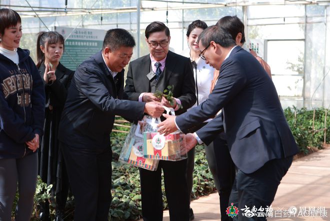 "Guarding Love with Health" Yunnan Baiyao leads the national health ...