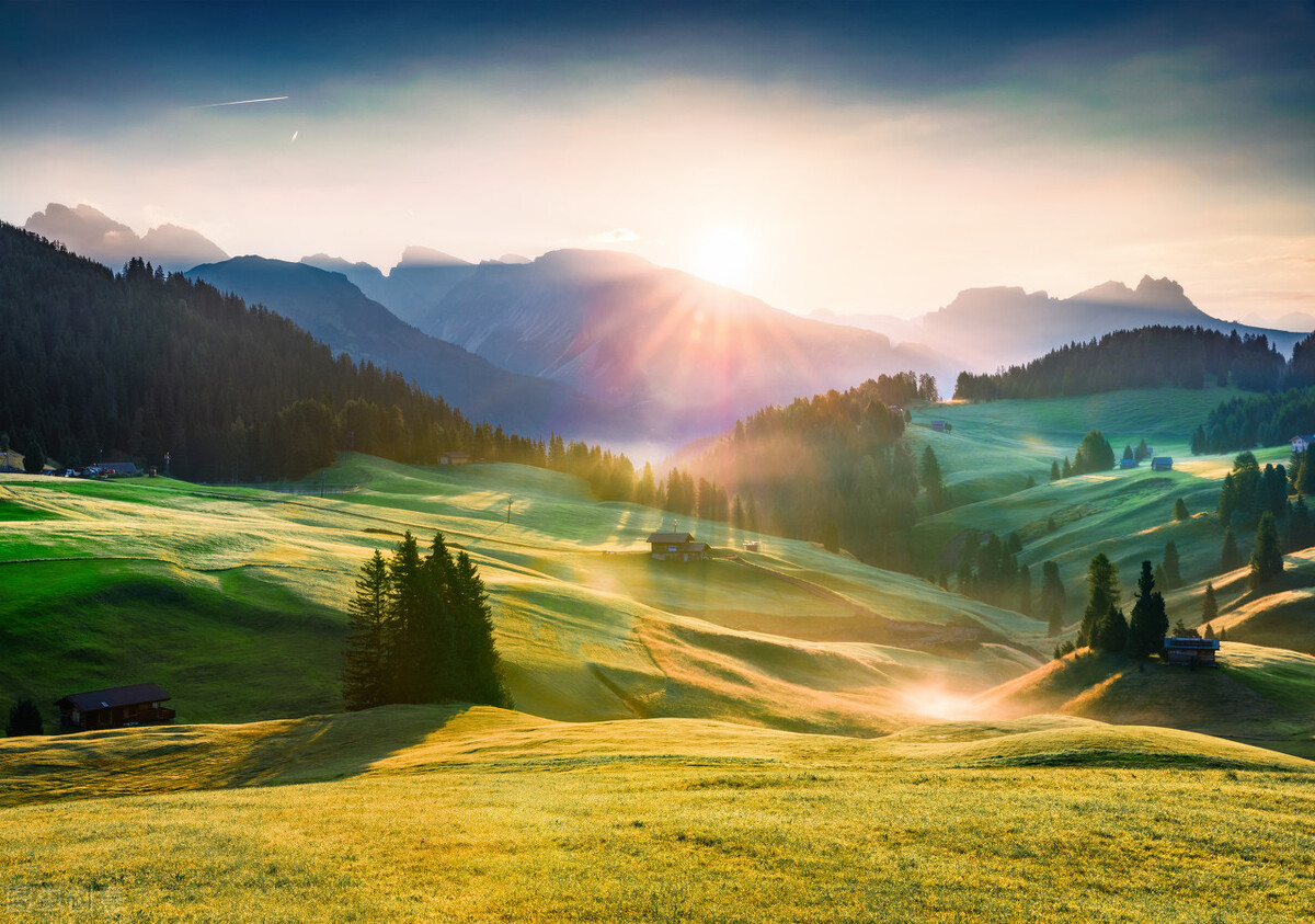 Zhang Zhongjing's classic recipe: Bawei Shenqi Pills, exclusively for ...