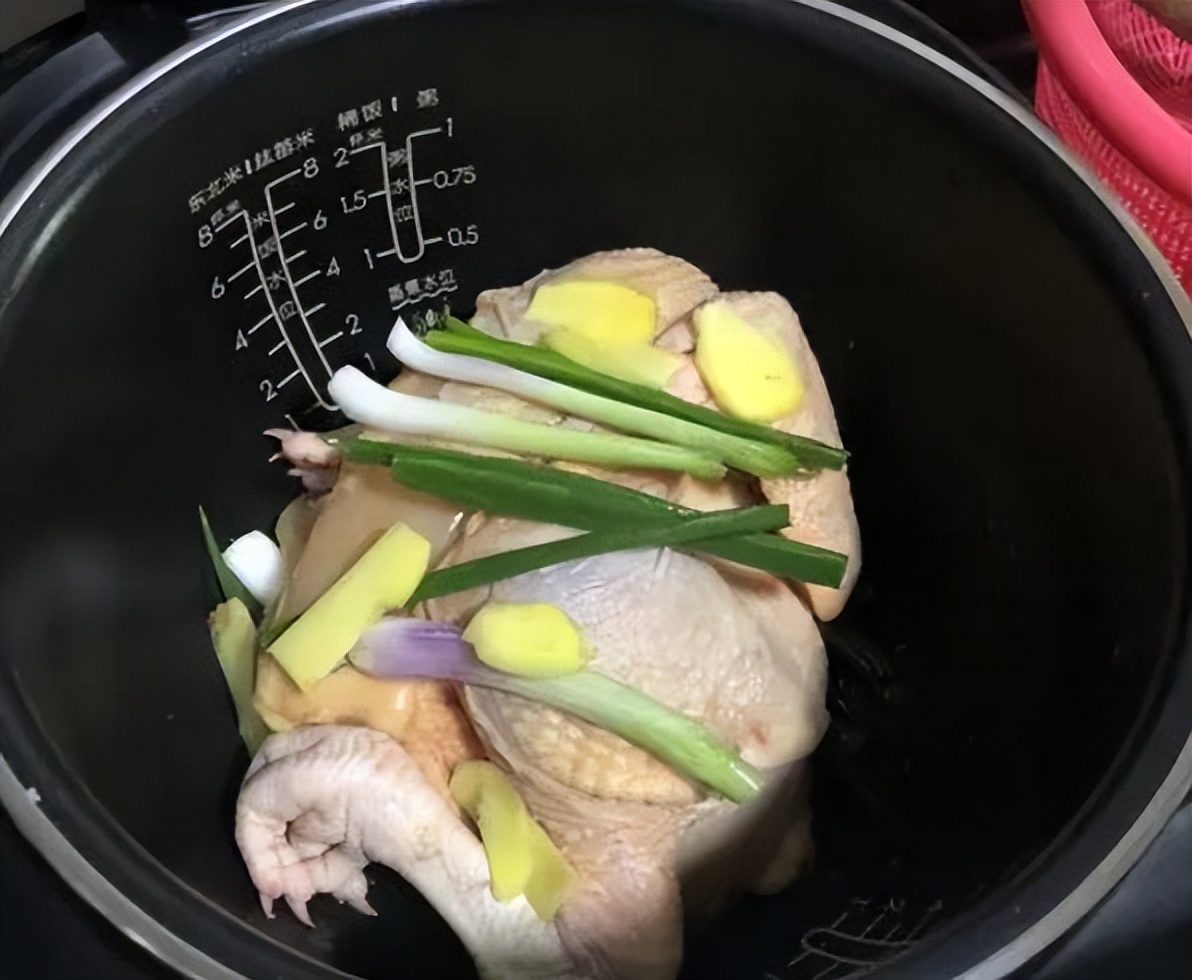 Rice cooker shredded chicken: Innovative method to amaze the whole ...