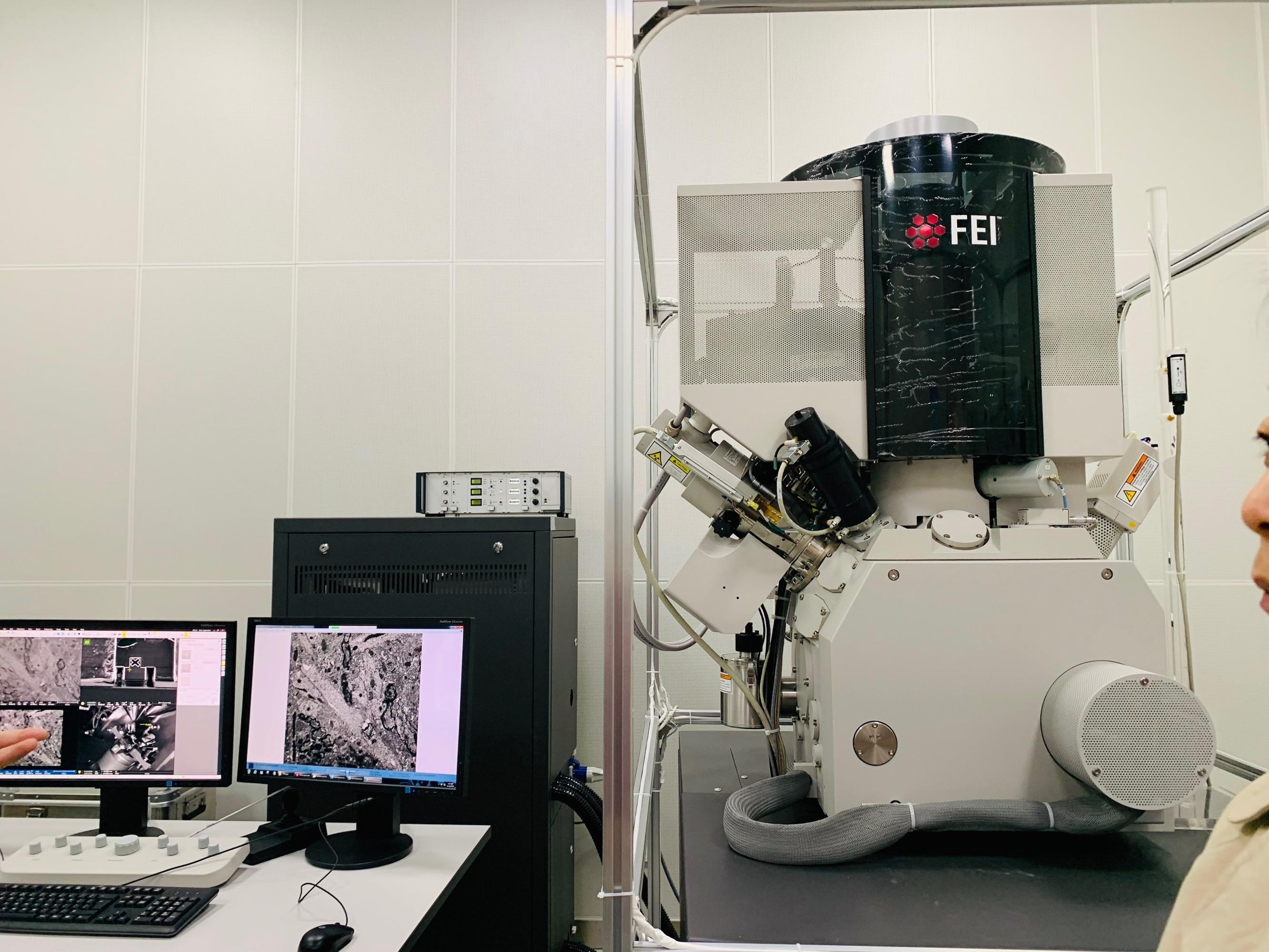 Correlative low-temperature super-resolution light and electron ...