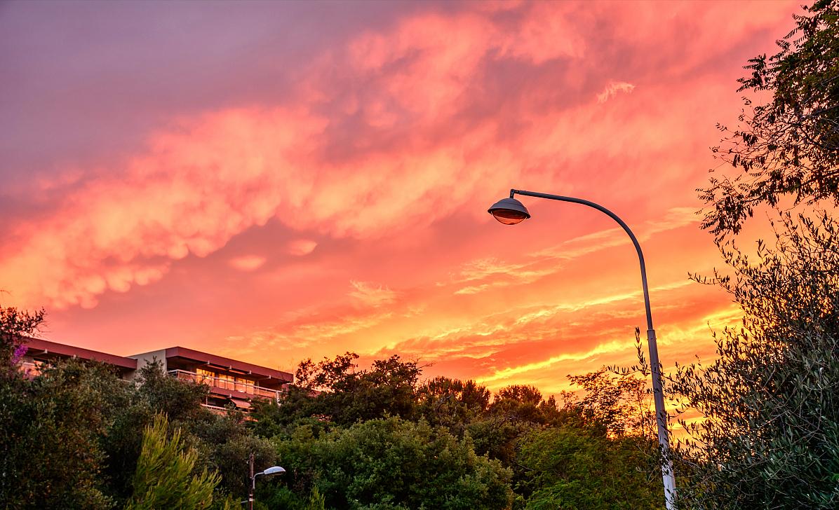 A brief discussion on the historical evolution of French civic ...