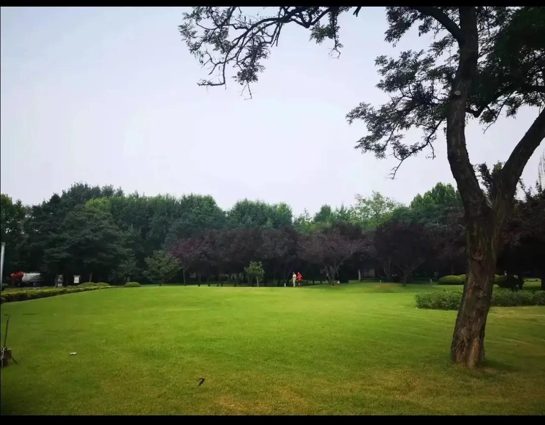 Xingtai, the biggest characteristic is "Xing", which is unique - iNEWS