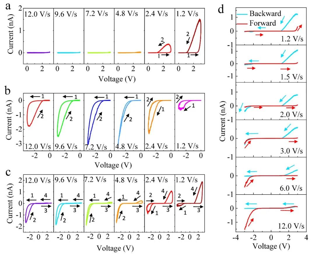 Nat. Commun.: Current Rectification Effects of Electric and Strain ...