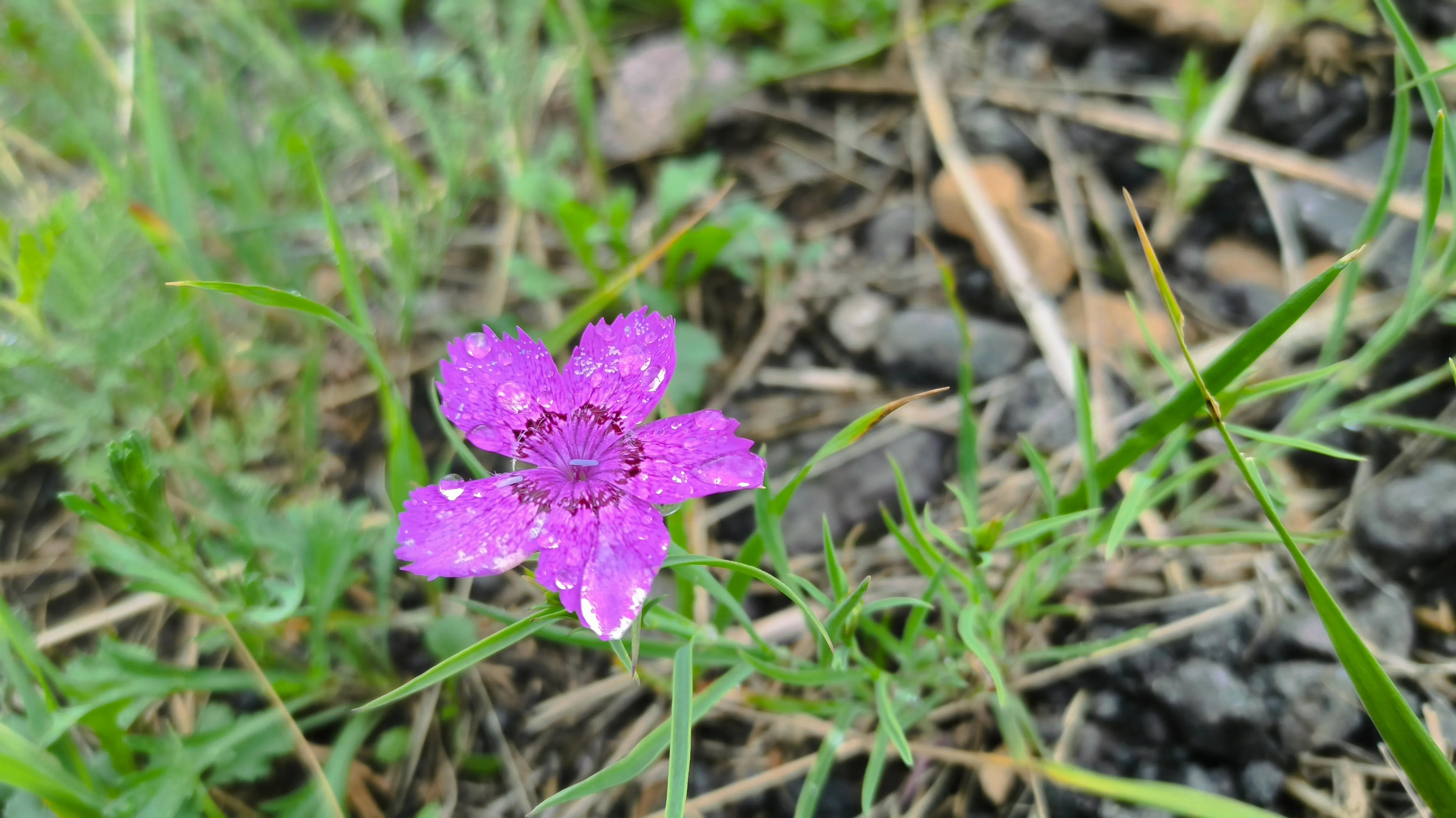 Zhangbei Grassland Road Self-driving Travel Notes - iNEWS